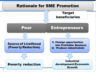 Figure-1. Beneficiaries of MSE promotion and development.